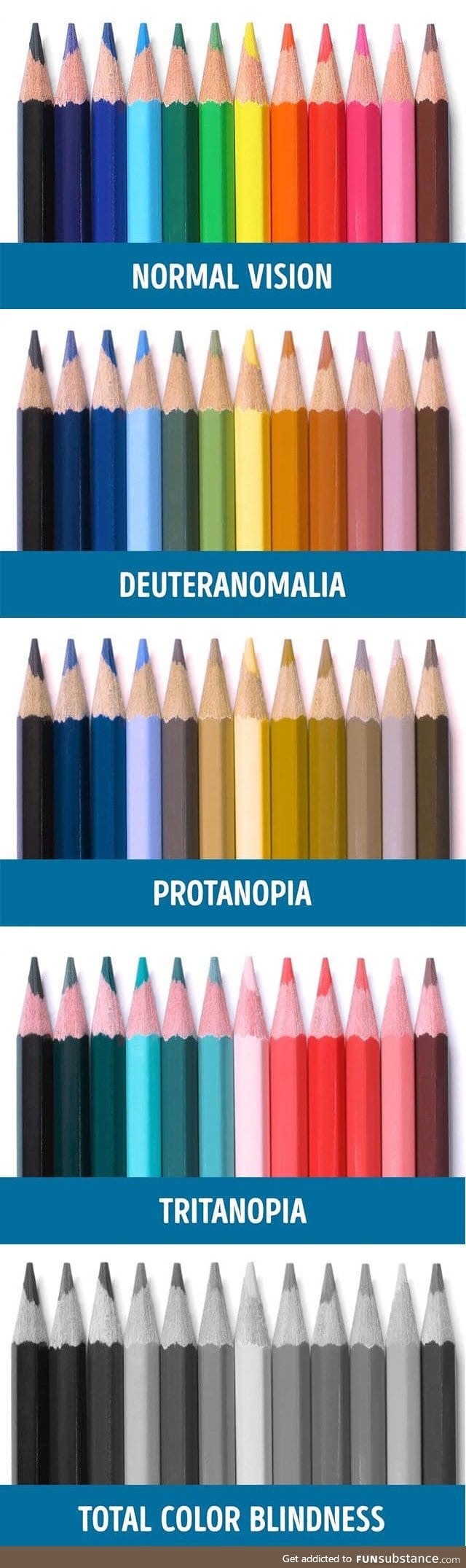 Different Types Of Color Blindness Demonstrated FunSubstance